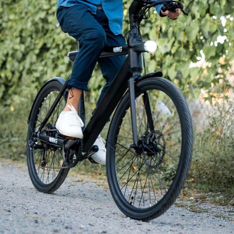 Wing Bikes Freedom 2 Review - In-Depth Overview